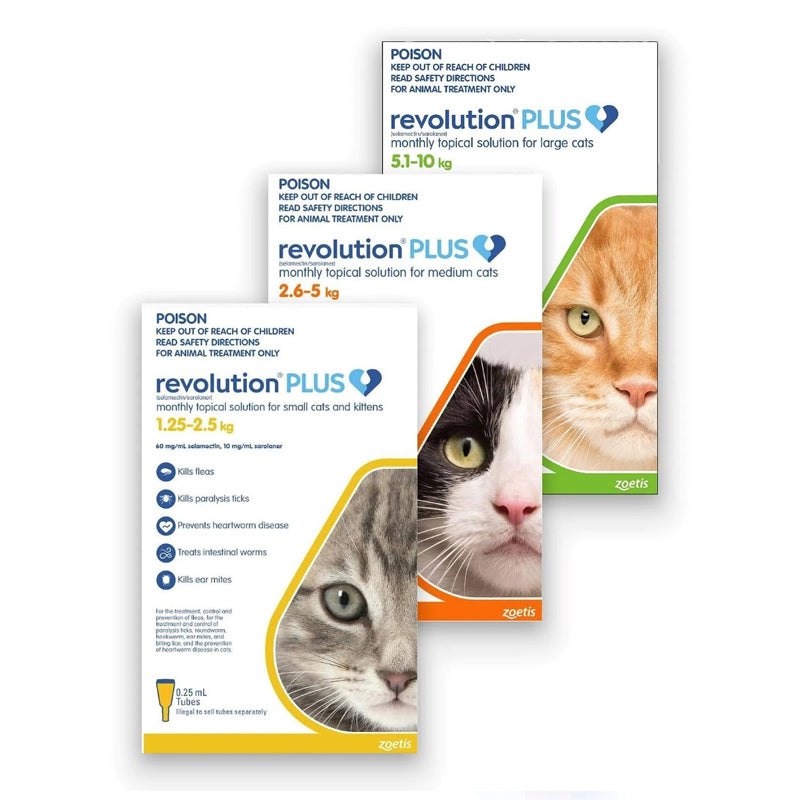 REVOLUTION CAT PLUS LARGE CAT 3PK/6PK 5-10KG – ottostore