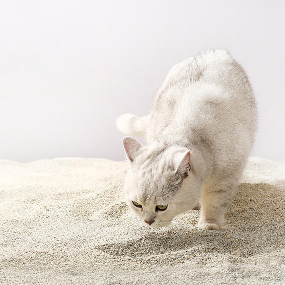 CATLINK Imported Nudge Bentonite Cat Litter - Martian Stone 4.5Kg ...