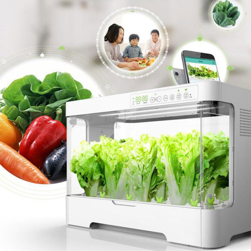 Smart Vegetable Planting Box Children Study Hydroponic Soilless Cultiv ...
