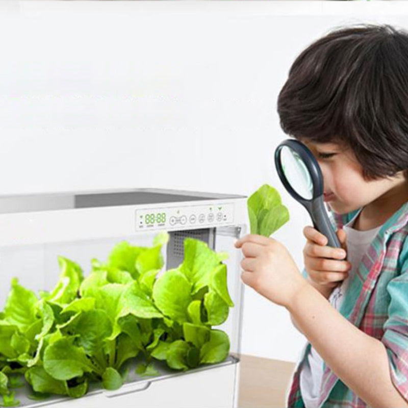 Smart Vegetable Planting Box Children Study Hydroponic Soilless Cultiv ...