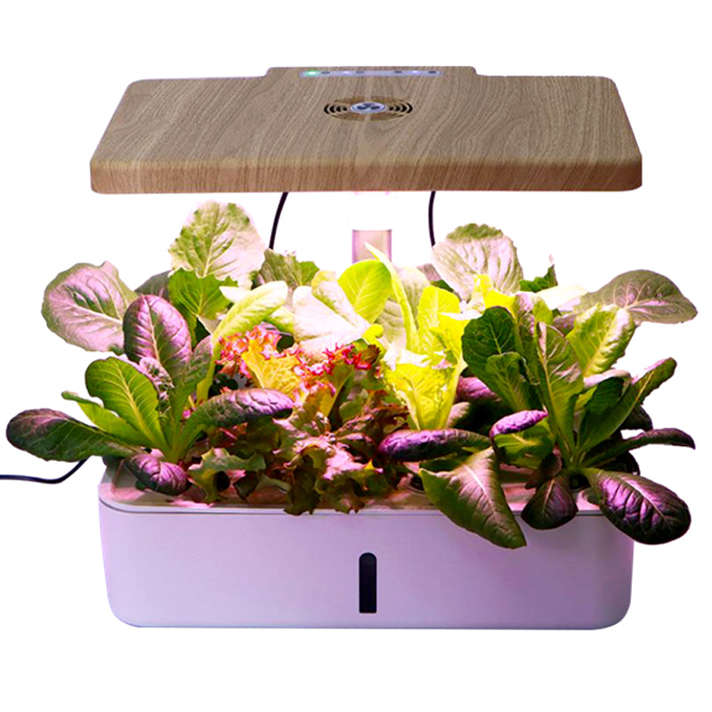 Smart Hydroponic Planter Vegetable Dual-mode Planting Box Soilless Cul ...